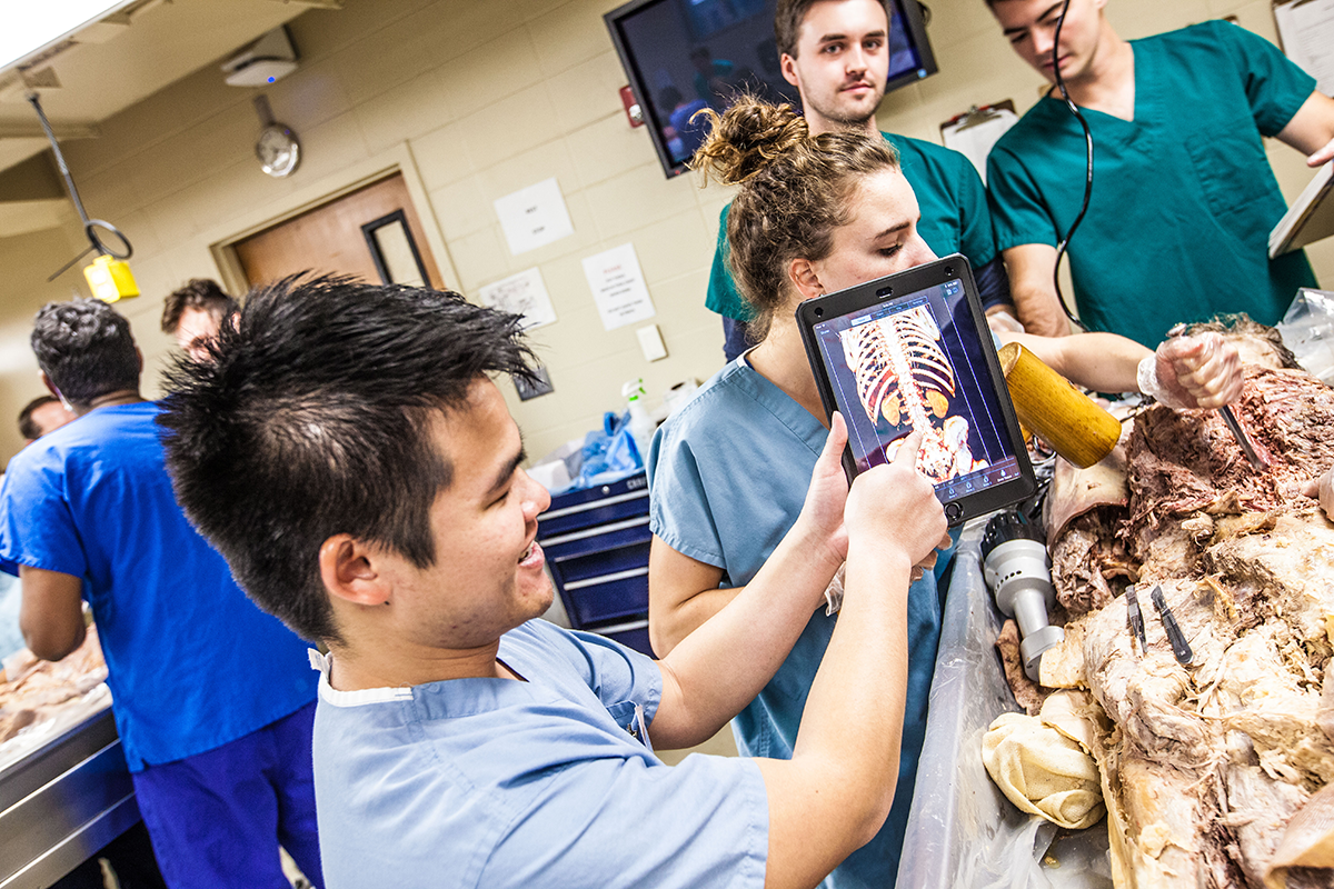 The Future of Anatomy Education: BodyViz 7 One-Click Dissection